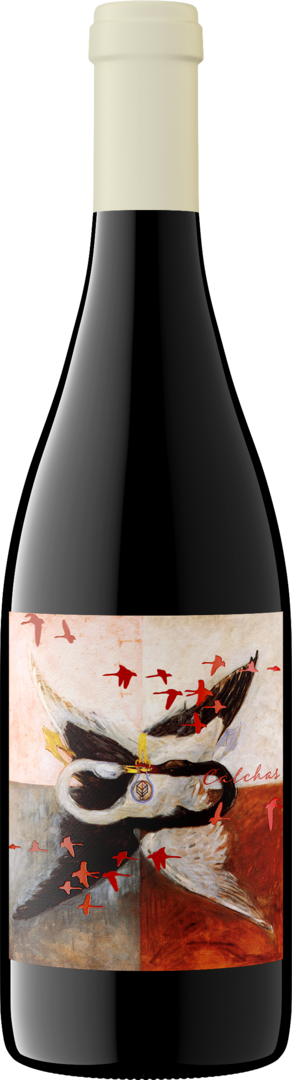 Buy Calchas 2022 Syrah – Firstleaf