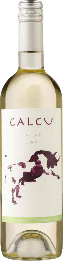 Buy Calcu 2014 Reserva Sauvignon Blanc – Firstleaf