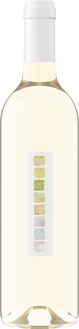 Buy Color Wash 2022 Pinot Grigio – Firstleaf