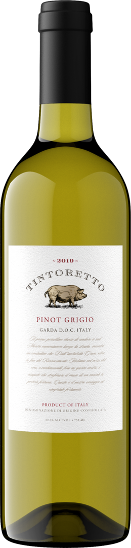 Buy Tintoretto 2019 Pinot Grigio – Firstleaf